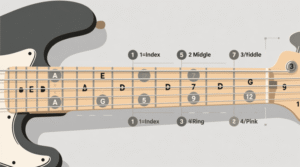 Bass Guitar Fingering Chart (2026) – Beginner Guide