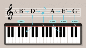 Bass Notes Piano Chart – Complete Beginner Guide